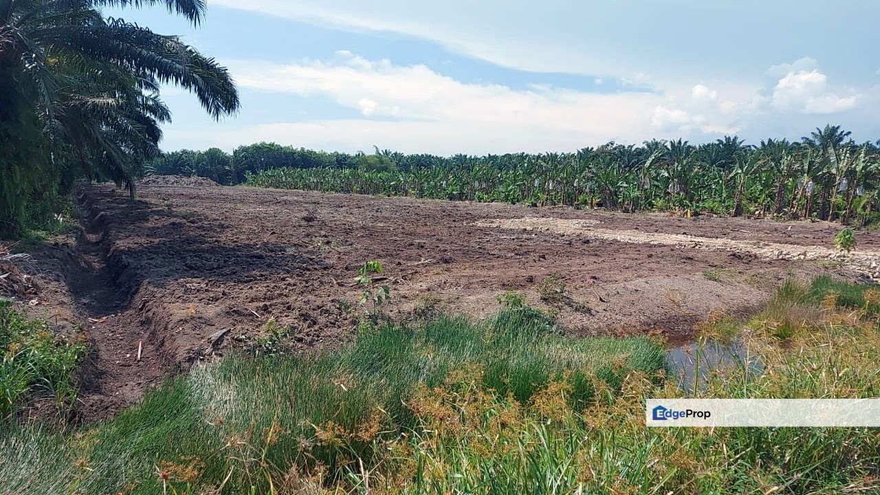 For Sale - Serkat - Agricultural Land for Sale @RM1,000,000 By ALEXIUS ...