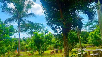 Sg Menyala Port Dickson, Matured and Fertile agricultural land of fruit ...