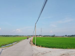 View Cantik Bendang, Sawah Sempadan (Sesuai Homestay) for Sale @RM360 ...
