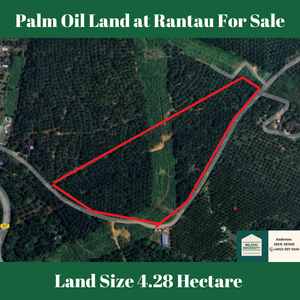 💥𝐏𝐚𝐥𝐦 𝐎𝐢𝐥 𝐋𝐚𝐧𝐝 𝐚𝐭 𝐑𝐚𝐧𝐭𝐚𝐮 𝐅𝐨𝐫 𝐒𝐚𝐥𝐞💥 for Sale @RM1,950,000 By ANDERSON ...