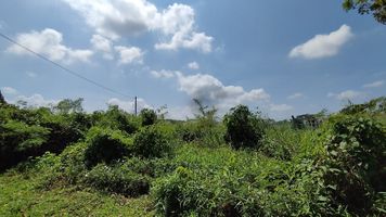 Ipoh Jalan Sultan Azlan Shah 6.7 Acres Agricultural Land For Sale for ...