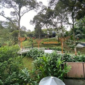 Very Limited Freehold 2 Acres Agriculture Land with Ready Road Access ...