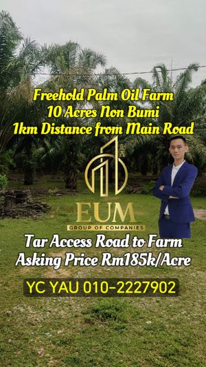 Freehold Palm Oil Farm Selandar Melaka for Sale @RM1,850,000 By YC YAU ...