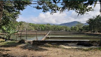 Kerling Agricultural Land for Sale Call for price By SAMSON LEE ...