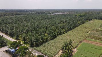 Batu 12 Jalan Kapar, Selangor Residential Zoning Land for Sale for Sale ...