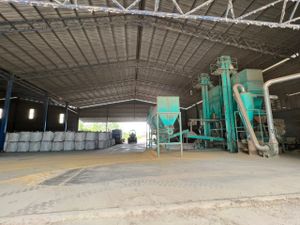 Paddy field production Business with whole Factory/Warehouse For Sale ...