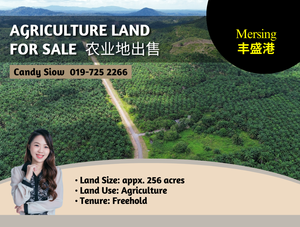 Mersing 256 acres Agriculture Land for Sale @RM40,960,000 By CANDY SIOW ...