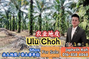 Ulu Choh Agriculture Land For Sale for Sale @RM10,454,400 By JAPHETH ...