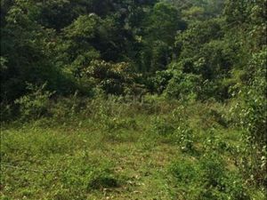 Agricultural Land 1 Acre Jalan Besar Main Road Mantin for Sale for Sale ...