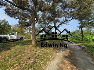 Freehold Durian Orchard 10.6536 Acres at Junjong, Kulim for Sale @RM5 ...