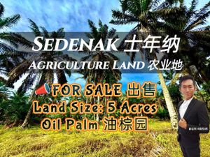 Sedenak Agriculture Land For Sale for Sale @RM950,000 By ALLEN TAN ...