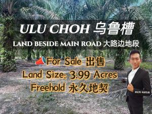 Ulu Choh Pekan Nanas Main Road Land For Sale for Sale @RM6,256,958 By ...