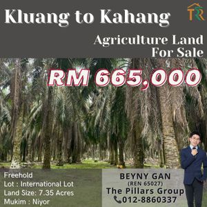 Taman Kluang Perdana, Kluang, Johor (Kluang to Kahang) Agriculture Land ...