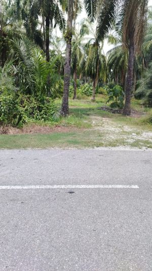 Malaysia Selangor Kuala Langat, Banting 📌Olak Lempit Industrial Area 📌2 ...