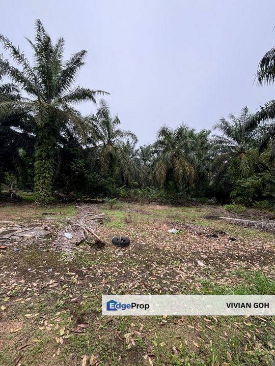 Ulu Choh Agriculture Land For Sale for Sale @RM6,609,794 By VIVIAN GOH ...