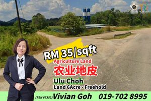 Ulu Choh Agriculture Land For Sale for Sale @RM9,147,600 By VIVIAN GOH ...