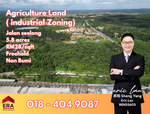 Jalan Seelong @ Senai Agriculture land ( Industrial Zoning) for Sale ...