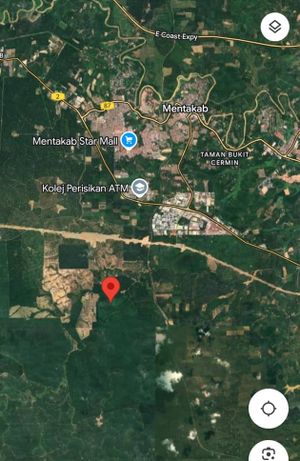 Mentakab land use for agriculture for Sale @RM4,900,000 By CK NG ...