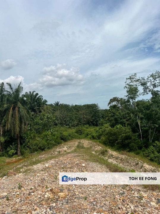 Ulu Choh Gelang Patah Agriculture Land For Sale for Sale @RM13,416,480 ...