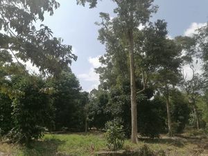 FREEHOLD Agriculture land in Mukim Parit Bakar, Muar, Johor 0.2582 ...