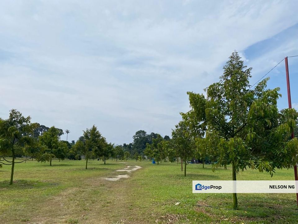 Mantin dalam @ Mantin Durian farm Agricultural land for Sale for Sale ...