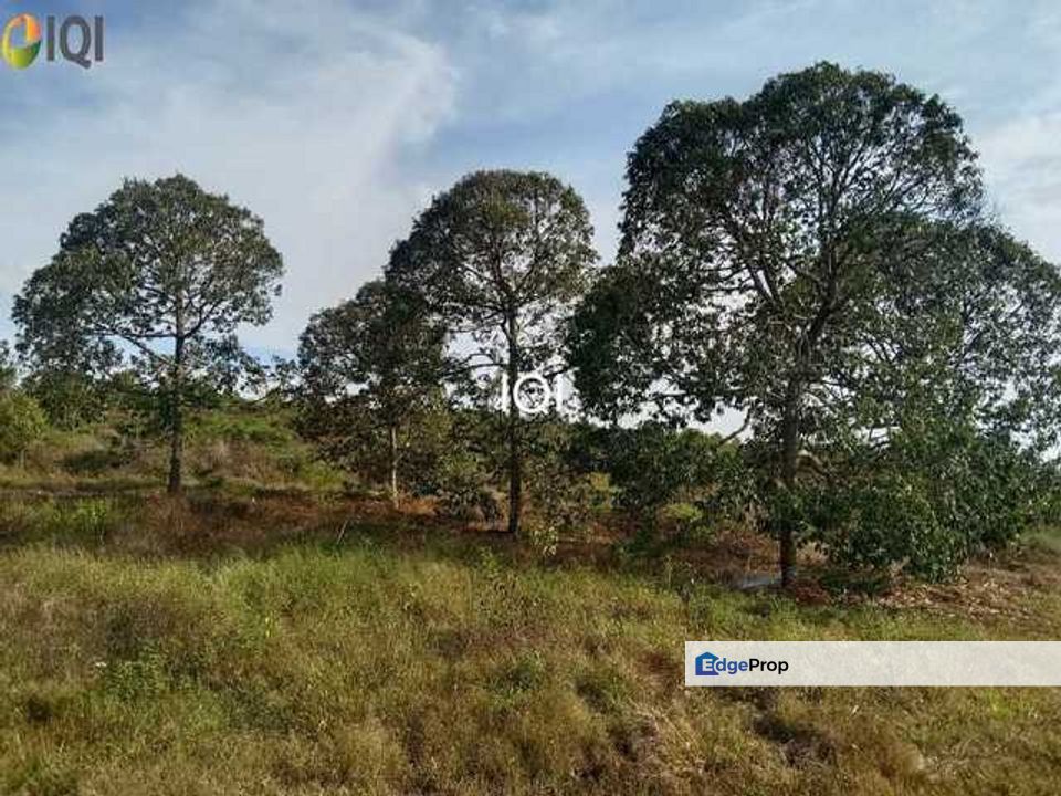 Simpang Pertang for Sale @RM2,560,000 By Tanny Tong | EdgeProp.my