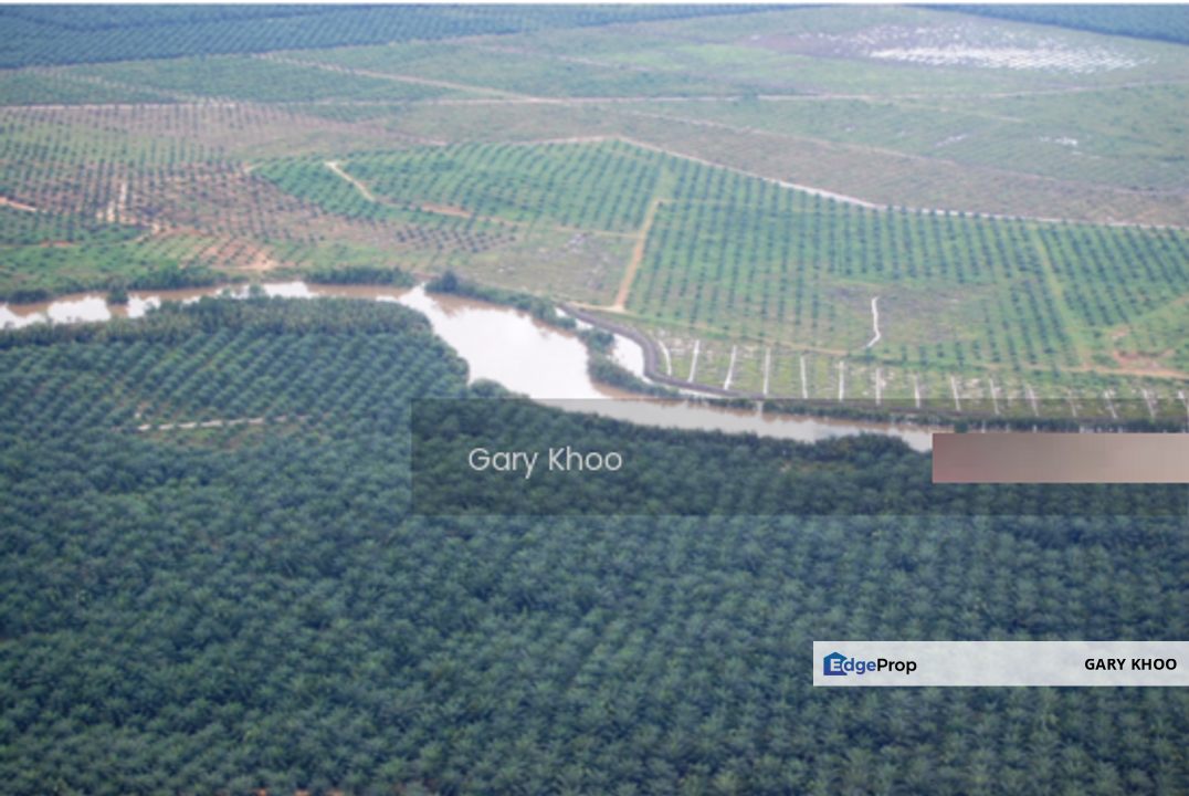 Johor Batu Anam 160 acre Agriculture Land With River Fully Oil Palm for ...