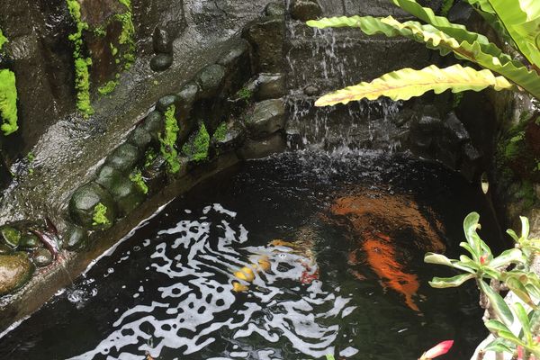 Bukit Anggerik, Cheras Insights, For Sale and Rent | EdgeProp.my