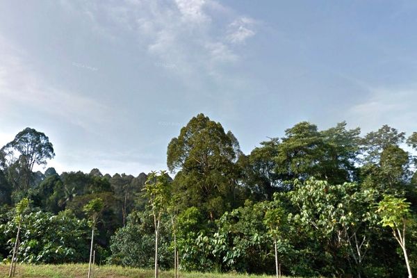 Bandar Nusa Rhu, Shah Alam Insights, For Sale and Rent | EdgeProp.my