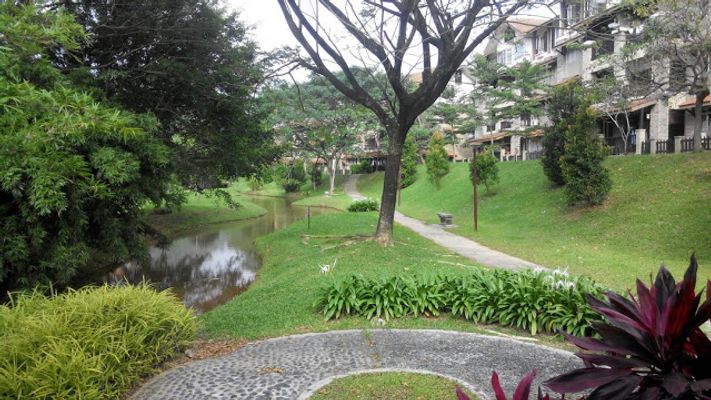 D'Rimba, Kota Damansara Insights, For Sale and Rent | EdgeProp.my