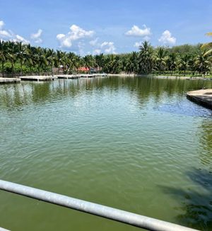 Kerling industrial land,kerling Agriculture land 60acres for sale for ...